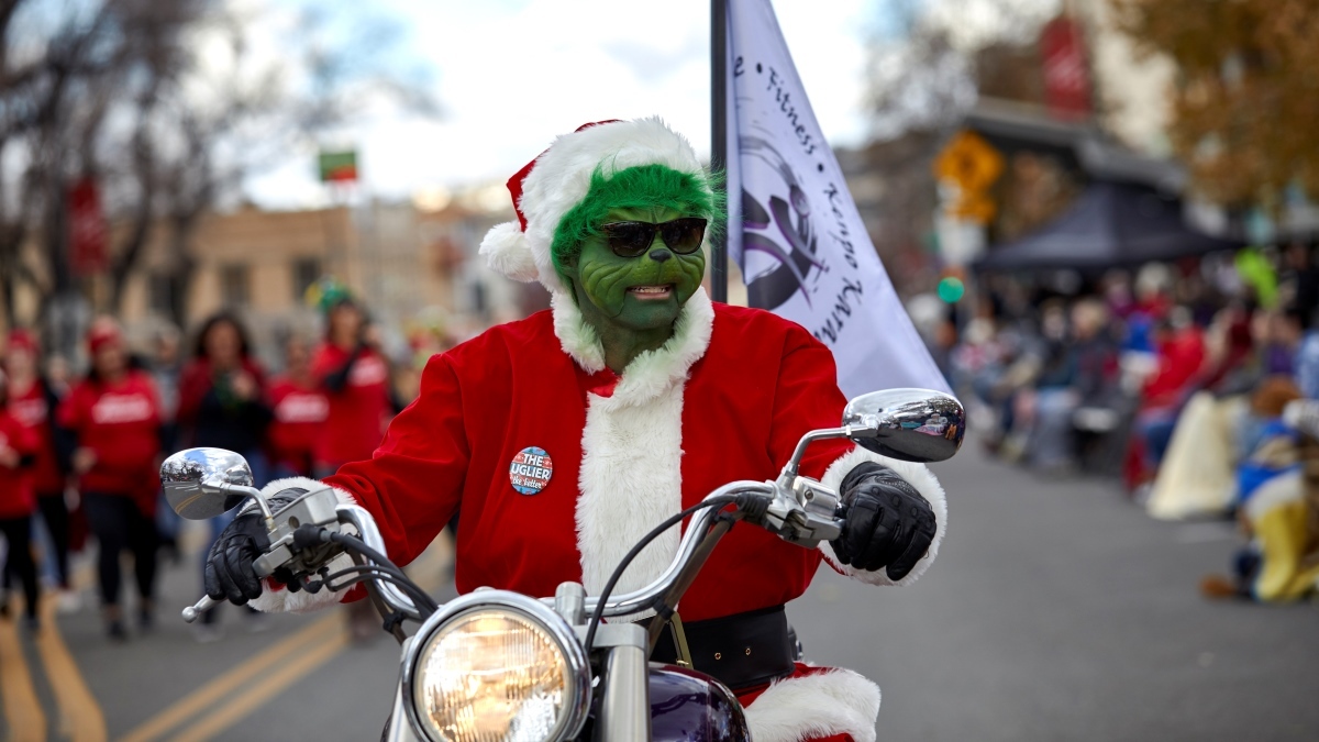 teiss - Technology - The Grinch bot that stole Christmas