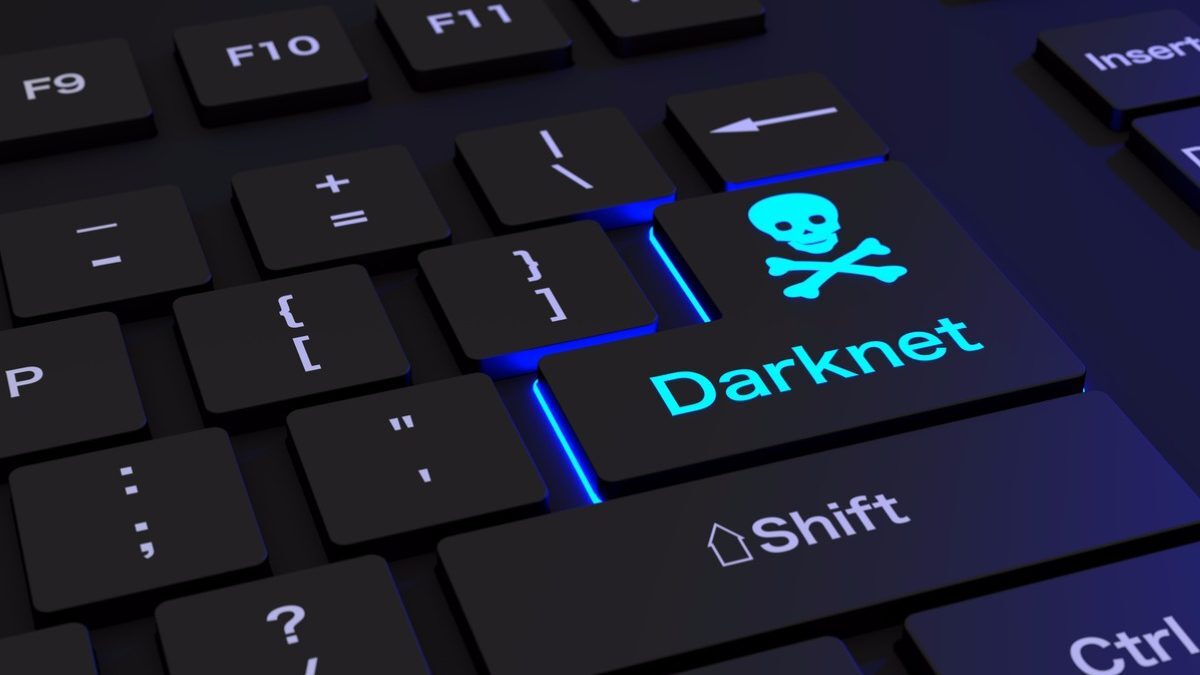 Teiss News Massive Dark Web Database Containing 1 4bn Clear Text